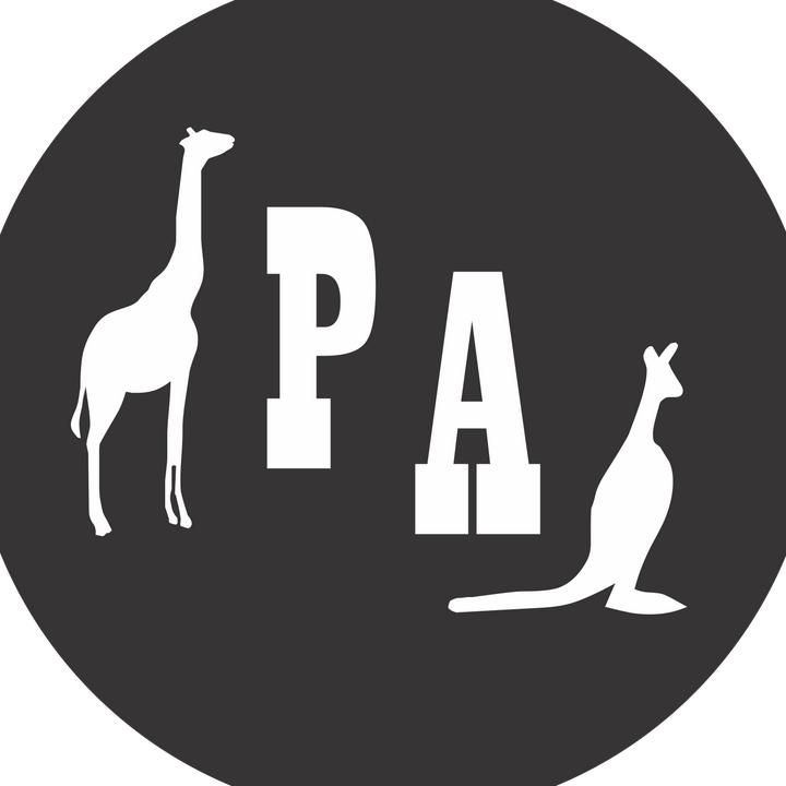 🦄 @paranoiaanimal - Paranóia Animal - TikTok