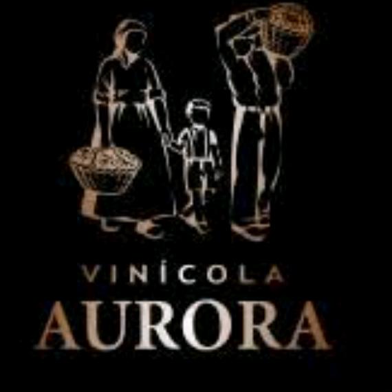 🦄 @aurora_equipesp - Aurora equipe SP - TikTok