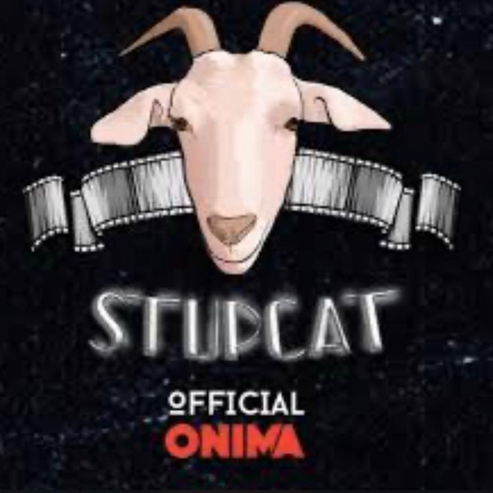 🦄 @officialstupcat - Stupcat - TikTok