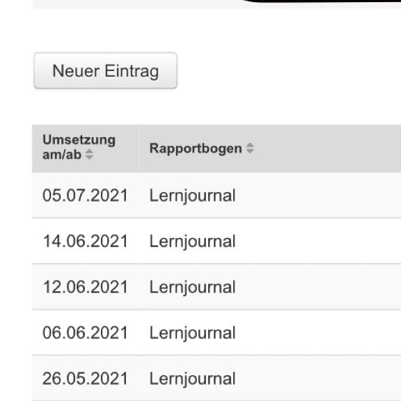 🦄 @lernjournal_fage - Lernjournal_FaGe - TikTok