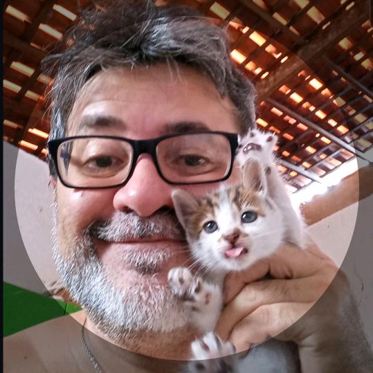 🦄 @gato_will - Gato Will e Seus Amigos - TikTok