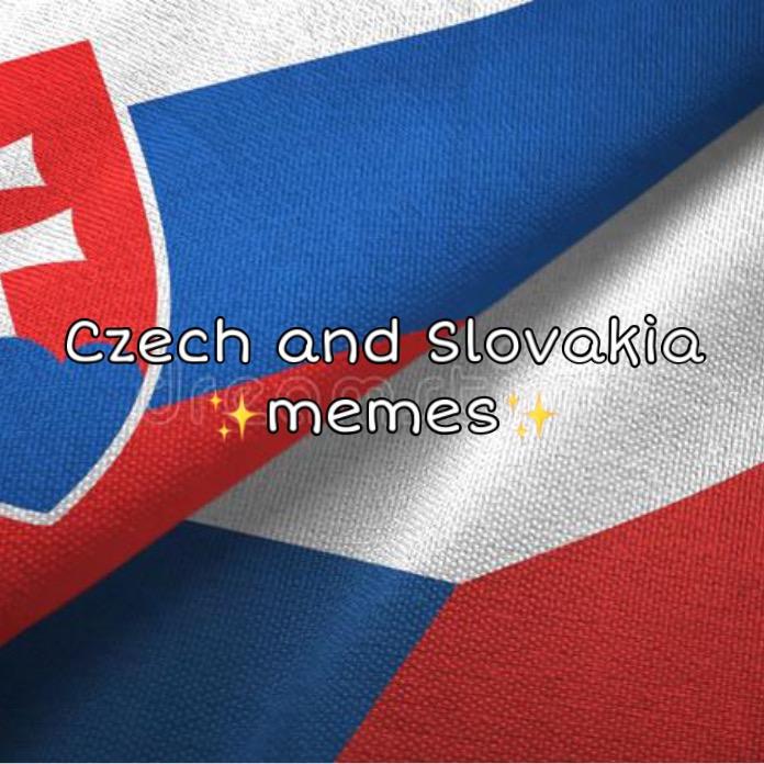 🦄 @skandczmemes - Slovak and czech memes - TikTok