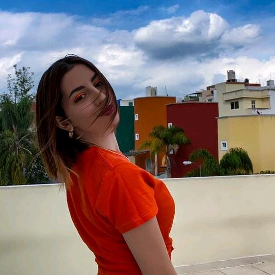 ladys sotolongo (@ladyssotolongo) Realtime TikTok Live Follower Counter ...